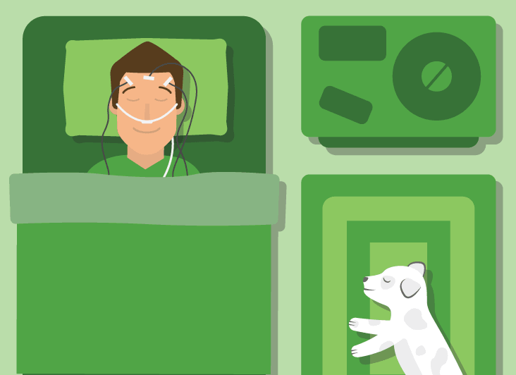 Your Guide to Dog Sleep Apnea and How to Help Your Pup | CPAP.com Blog ...